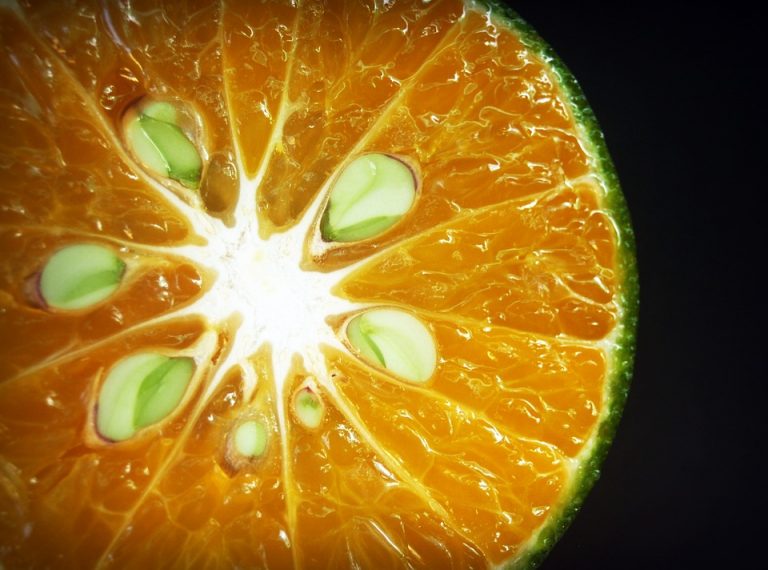 L’huile essentielle de mandarine verte – Guide d'aromathérapie et de ...