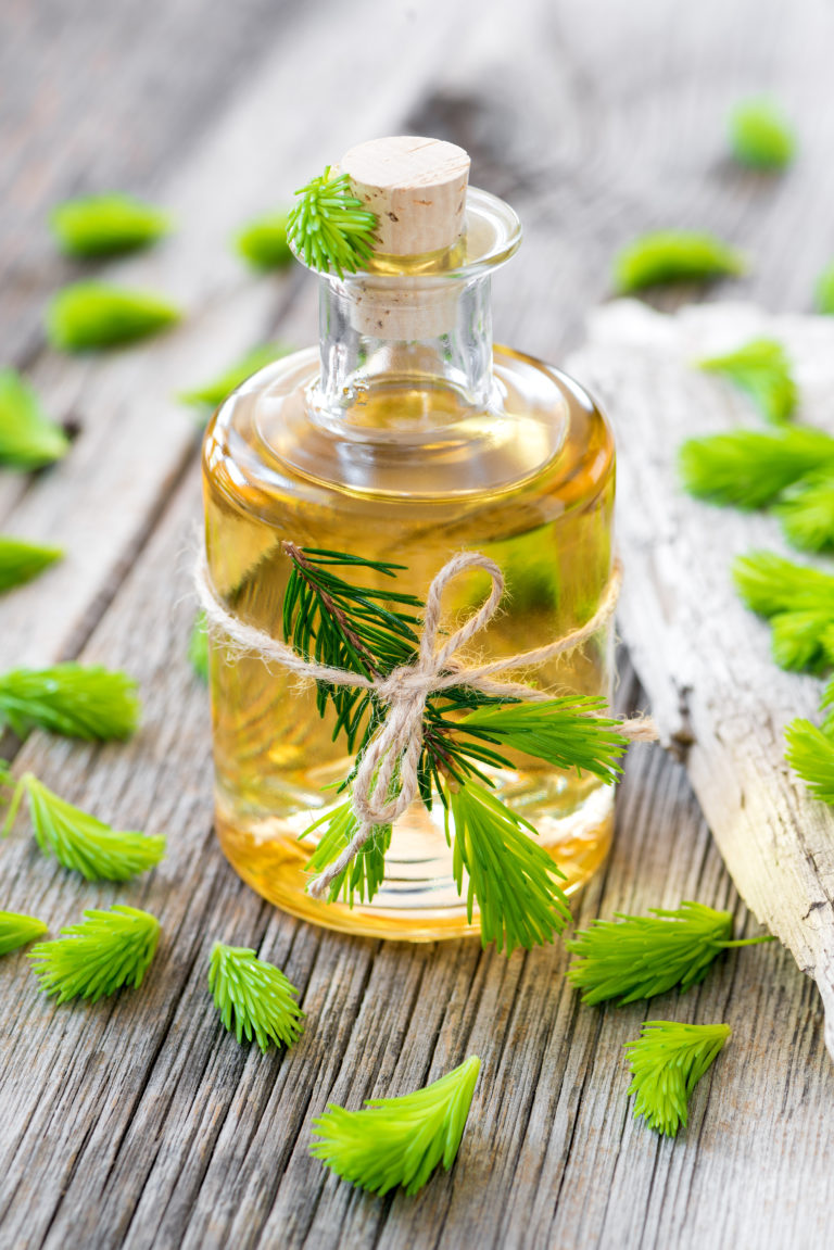 L’hydrolat de pin sylvestre – Guide d'aromathérapie et de naturopathie